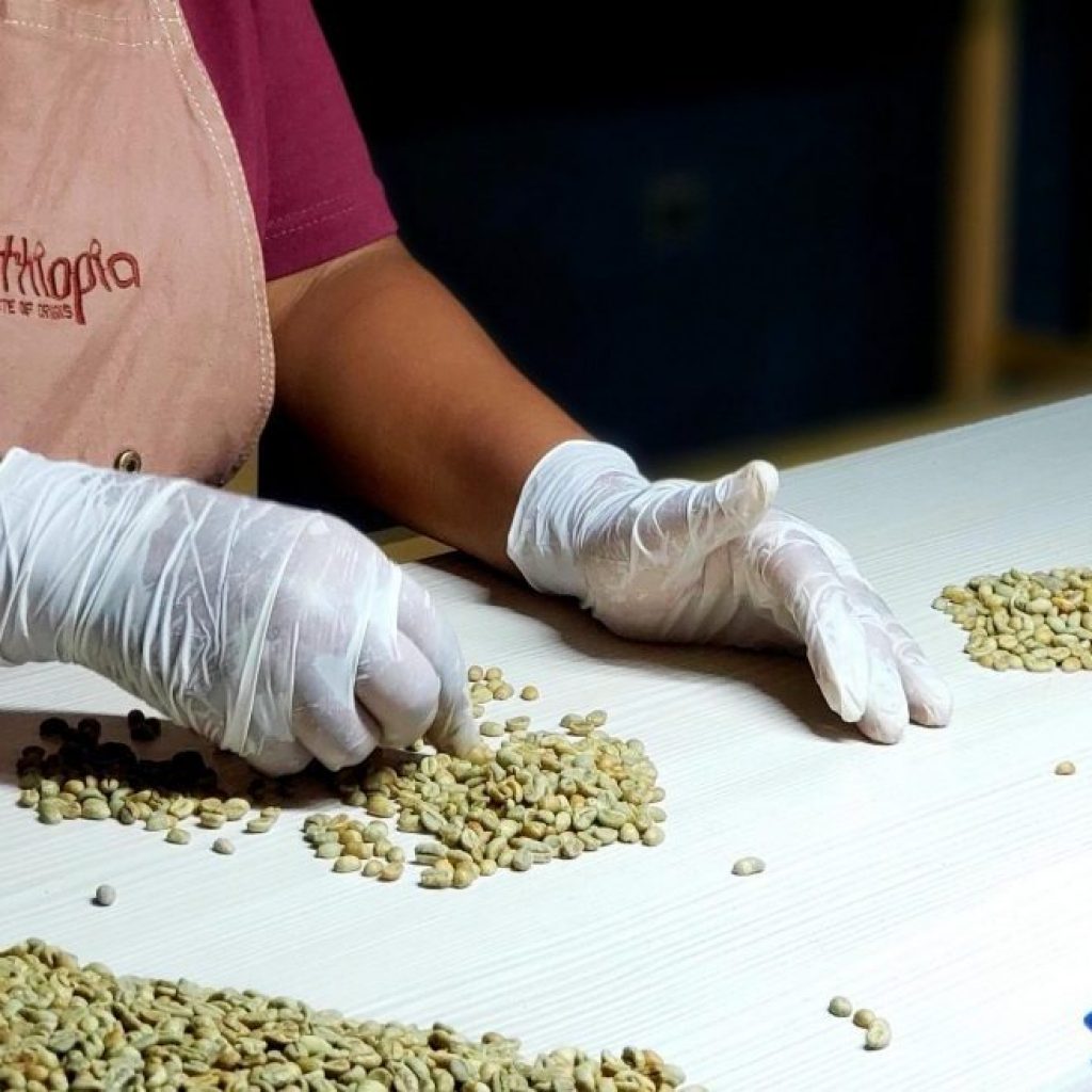 COE Themed Virtual Backgrounds - Alliance For Coffee Excellence