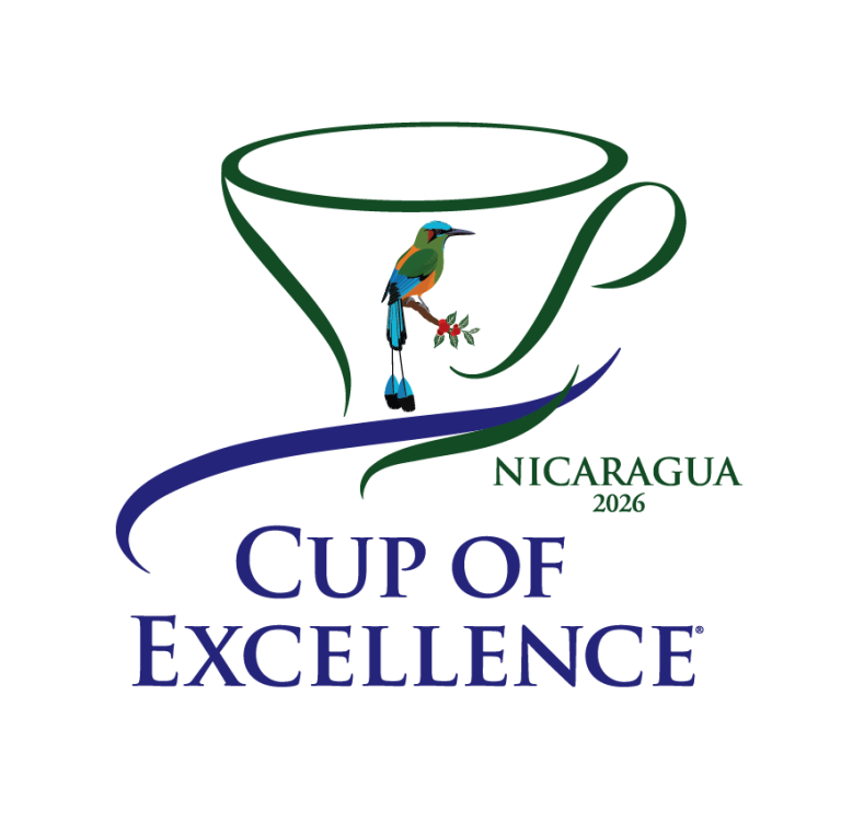 Nicaragua 2026 - Alliance For Coffee Excellence